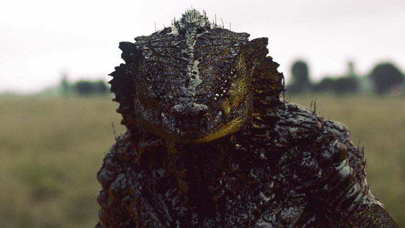 Where to Watch Oats Studios: Volume 1 (2021) Online | Find Where to Watch